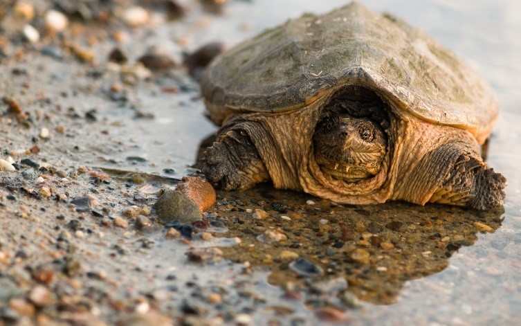 The Beast of Busco (and Other Indiana Treasures) | Monterey Boats